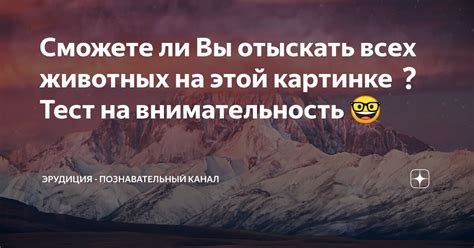 Сможете ли Вы отыскать всех животных на этой картинке Тест на внимательность 🤓 Эрудиция