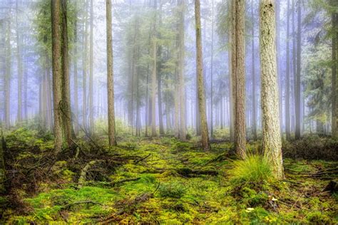 Красивые фотографии с природой | FotoRelax