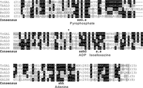 Figure 1 From Galactonolactone Oxidoreductase From Trypanosoma Cruzi