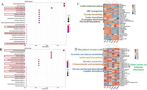 Enrichment Map Of Differential Metabolite In The Positive A And Download Scientific Diagram