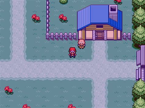 Pokemon Hatching Project Download Informations And Media Pokemon Rmxp