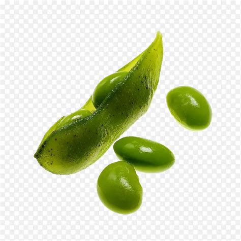 绿色黄豆豆荚PNG图片素材下载 图片编号8554875 PNG素材网