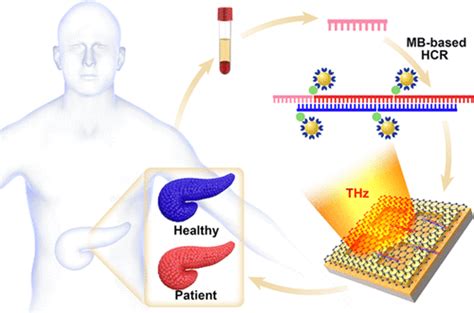 Metal Graphene Hybrid Terahertz Metasurfaces For Circulating Tumor Dna