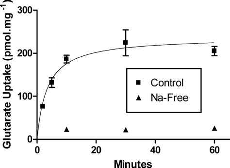 Multiple Components Of 24 Dichlorophenoxyacetic Acid Uptake By Rat