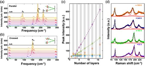 Raman Spectra Of Fewlayer SnS A Thicknessdependent Raman Spectra