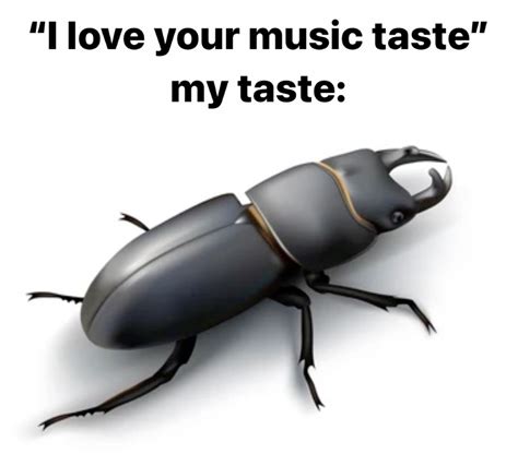 The Beatles Meme Beatles Meme The Beatles Beatles Funny