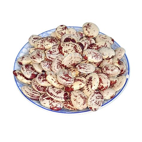 Flat Bean Food Supplier