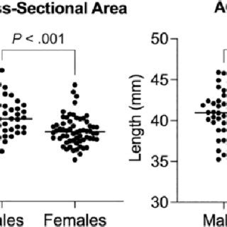 Sex Based Differences In Anterior Cruciate Ligament ACL Size Volume Download Scientific
