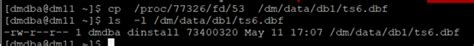 关于DM数据库联机时误删数据文件的恢复 dm sql 误删数据库数据怎么恢复 CSDN博客