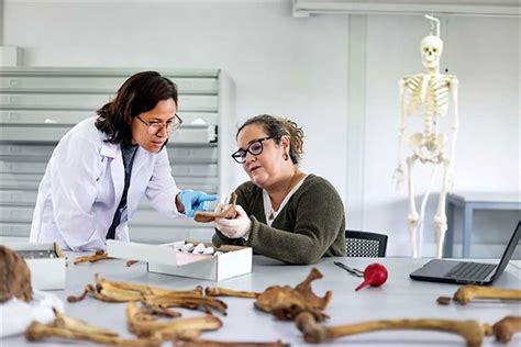 Cuando Los Huesos Hablan Conozca El Trabajo De Los Antropólogos