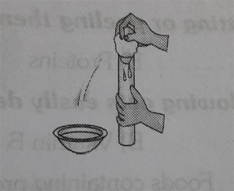 The Aim Of The Given Experiment IsA Need Of Water In The Body B How The Cotton Moves C How