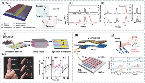 Artificial Synapse Featured In Chip Chip Journal Elsevier
