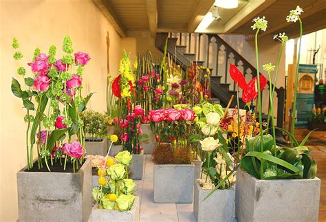 大型鲜花花店装修效果图装信通网效果图