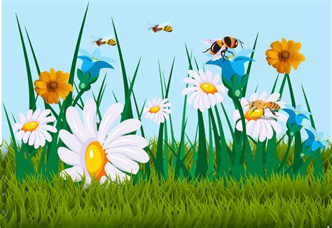 Definition Of Pollination And Types Of Pollination