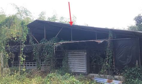 ประกาศขายโกดัง โรงงาน ขายฟาร์มโรงเรือนเลี้ยงสุกร 2 หลัง