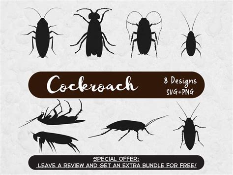 Cockroach Silhouettes Over White Paper With Brown Border And Black Text
