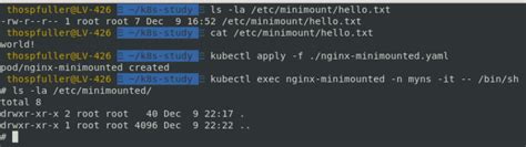 Learn How To Mount A Local Directory In A Pod In Minikube 🫙