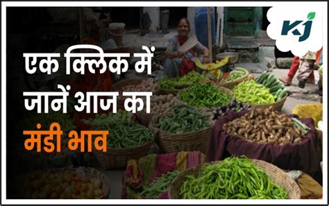 Mandi Bhav मंडी में फल सब्जियों और फसल के दाम एक क्लिक में जानें