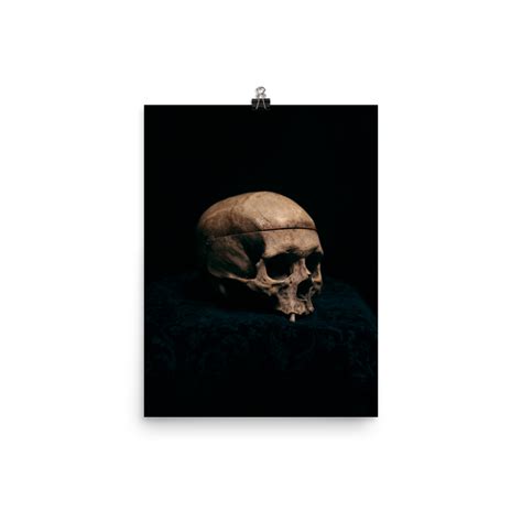 Still Life Skull Real Human Skull Photography Art Print Torvenius