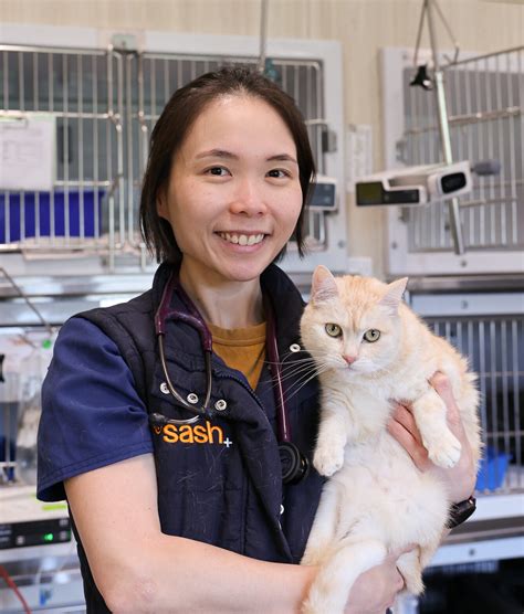 Dr Chelsea Lim Sash Vets