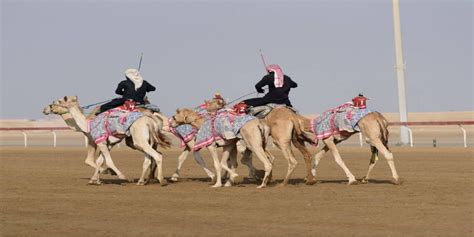 Camel Racing Rules How To Play Basic Rules Sportsmatik