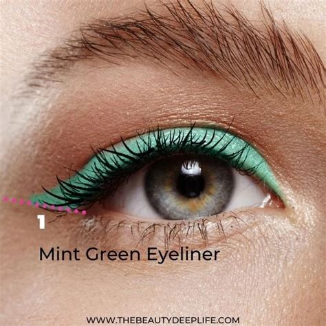 Eye Makeup For Brown Eyes Beginners Saubhaya Makeup