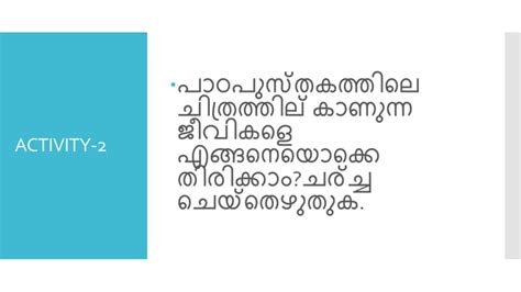 Why Classification Ppt