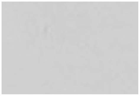 Manufacturing Method Of Anti Inflammatory Dental Restoration Material With Layer By Layer Self