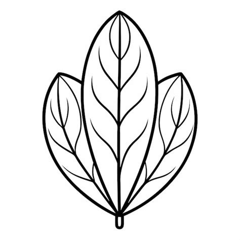 Cactus Leaf Icon Vector Illustration On White Background Premium Ai