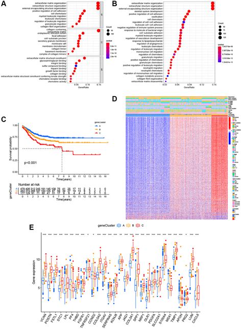 Construction And Validation Of A Novel Angiogenesis Pattern To Predict Prognosis And