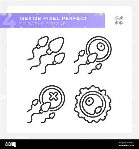 Fertility Linear Icons Set Stock Vector Image And Art Alamy