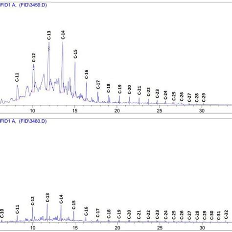 Agarose Gel Electrophoresis Analysis Of 16s Rrna Gene Amplified From