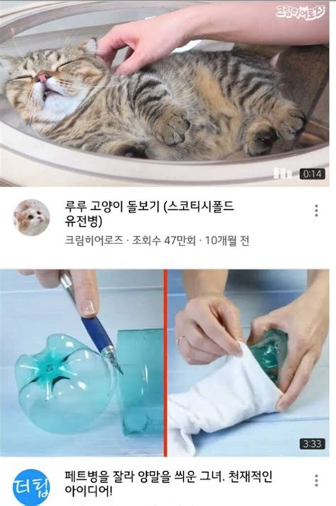 메이플스토리 인벤 유튜브 알고리즘 메이플스토리 인벤 자유게시판