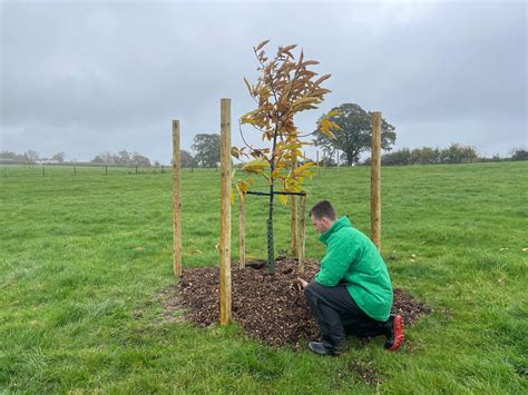 Professional Forester Apprenticeship A Pathway Into Your New Career In