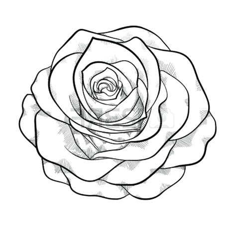 Printable Rose Outline