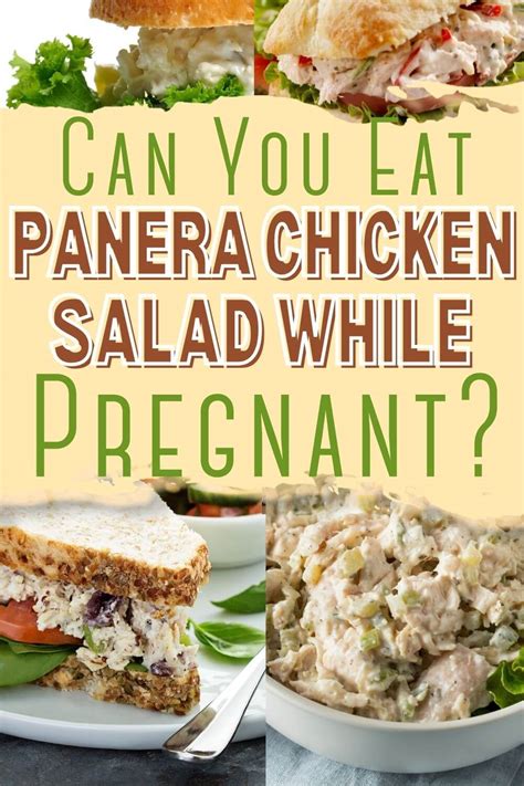 Can I Eat Panera Chicken Salad While Pregnant 2023