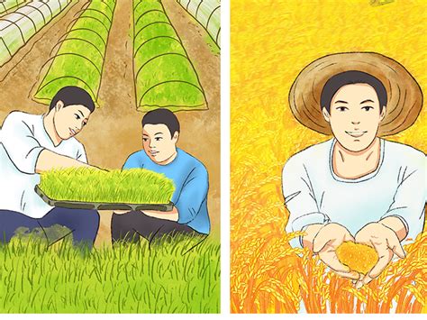 民以食为天 —— 开荒种粮罗罗爱小猫 站酷zcool