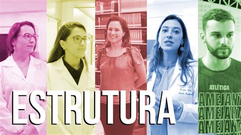 Estrutura Da Fammuc Youtube