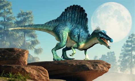 This 18 Foot Sail Backed Dinosaur Once Roamed Dinosaur Island Aol