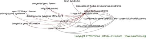 Congenital Knee Dislocation Disease Malacards Research Articles