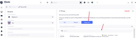 How To Set Up Proxy In Anti Detect Browser