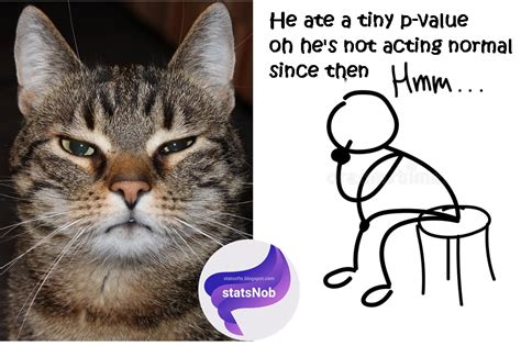 How To Test Normality Using Minitab Statsofts