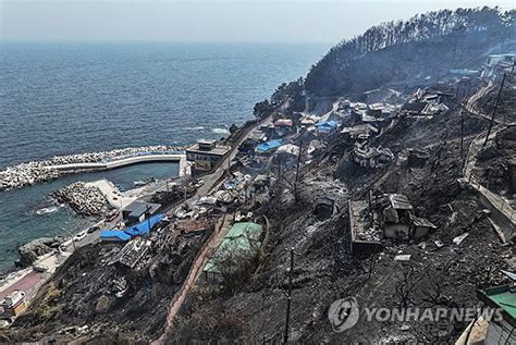 어선·그물·양식어류 68만마리 등산불 피해 어민들 한숨