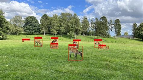 Megadetector Review 2025 Real World Use Cases