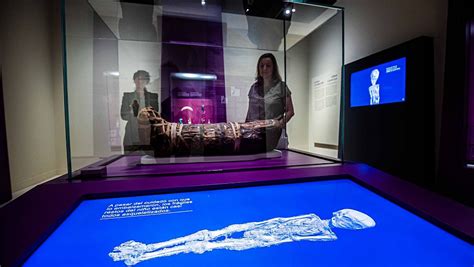 Momias De Egipto En Caixaforum Todo Sobre La Exposición