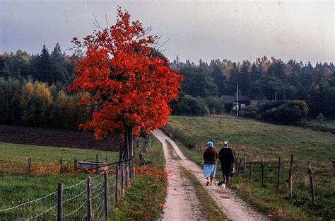 Vackra Bilder Englunds Fotoarkiv
