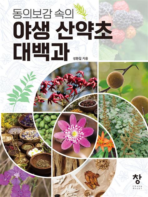 중고샵 야생 산약초 대백과 예스24