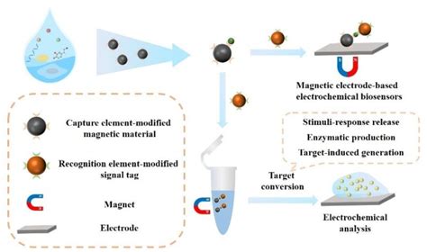 Biosensors Mdpi On Linkedin Review Mdpi Magnetically Biochemical