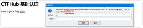CTF WriteUp HTTP基本认证Basic access authentication De10ng 博客园