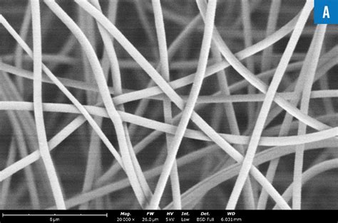 Electrospun Carbon Nanofibers For High Performance Applications Nanoscience Analytical